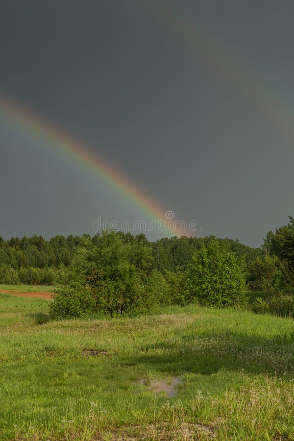 Rainbow after a Storm, after a Severe Thunderstorm in the Forest Stock ...