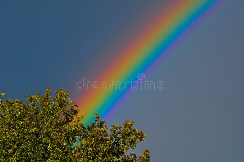 Strong Rainbow Emerging Picture. Image: 29779680