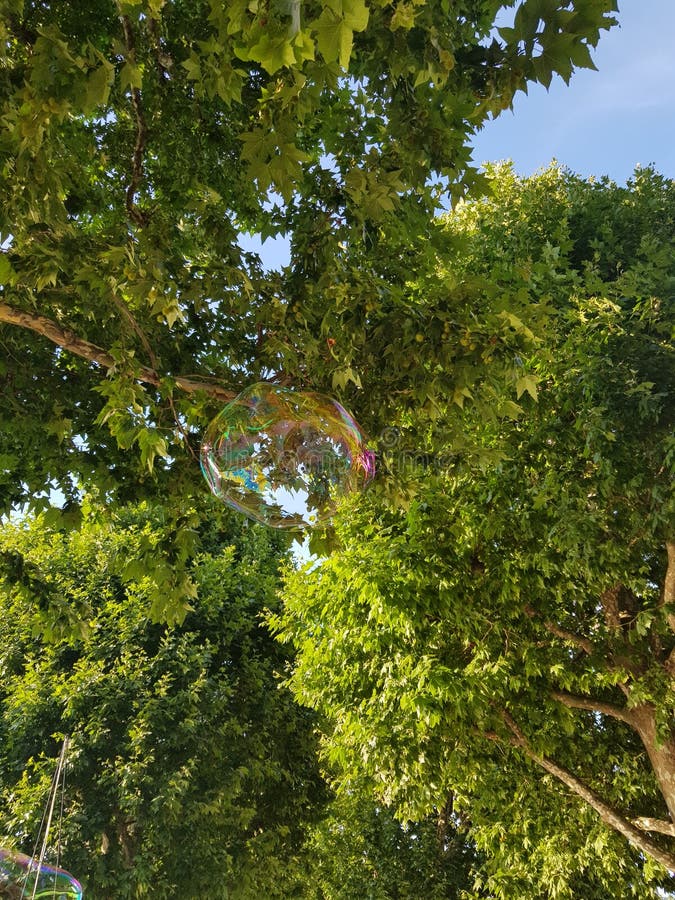 Bubble sky stock photo. Image of bubble, trees, spring - 121096118