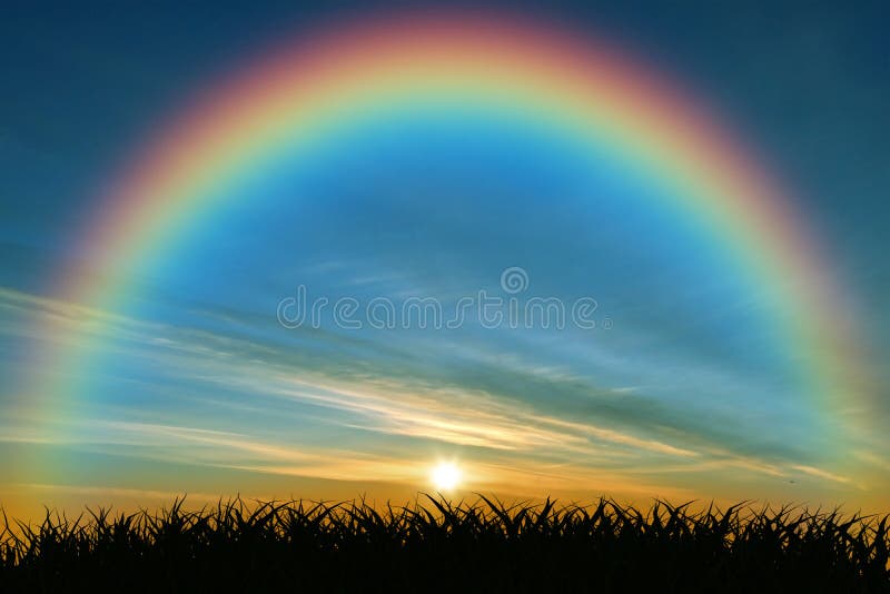 The Rainbow at Sunset in the Bush Isolated Stock Illustration ...