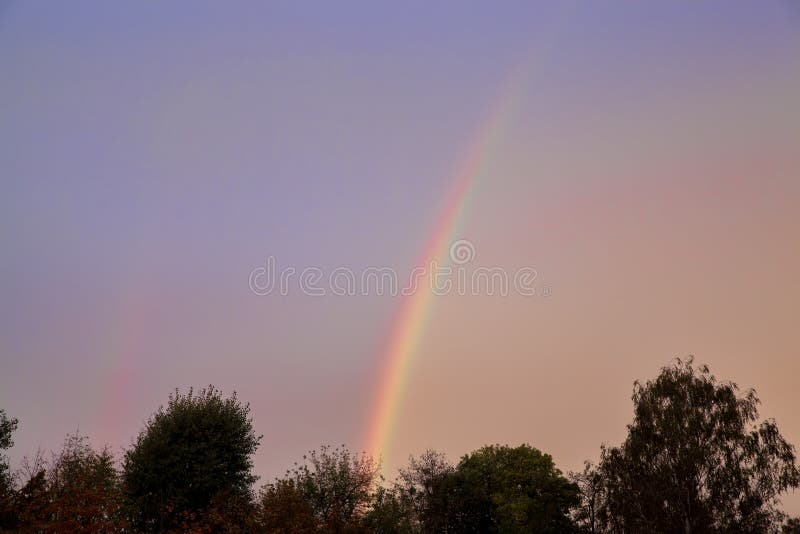 Rainbow at Sunset and Trees Stock Image - Image of rainbow, atmosphere ...