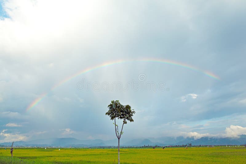 The Rainbow after There Rain Stock Image - Image of area, fresh: 170816359