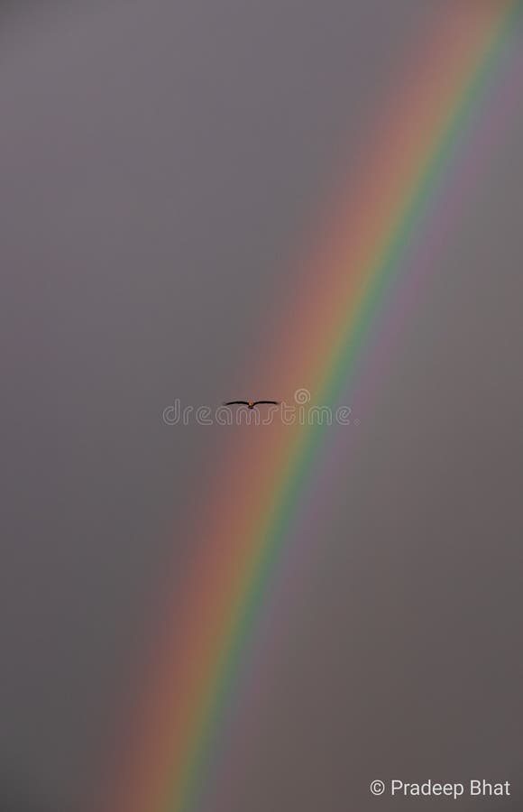 Rainbow time at sunset stock photo. Image of circle - 195759084