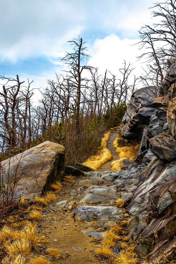 Rainbow Trail at Great Smoky Mountains National Park Stock Image ...