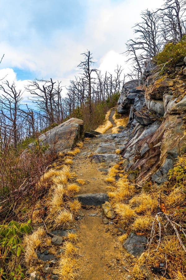 Rainbow Trail at Great Smoky Mountains National Park Stock Photo ...