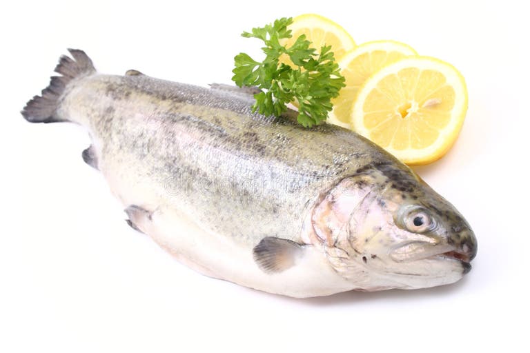 163 Rainbow Trout Cook Head Stock Photos - Free & Royalty-Free Stock ...