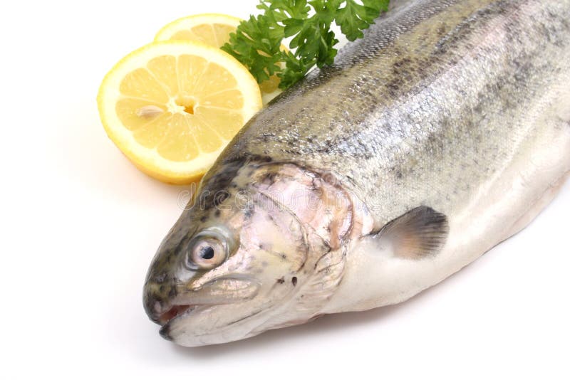 163 Rainbow Trout Cook Head Stock Photos - Free & Royalty-Free Stock ...