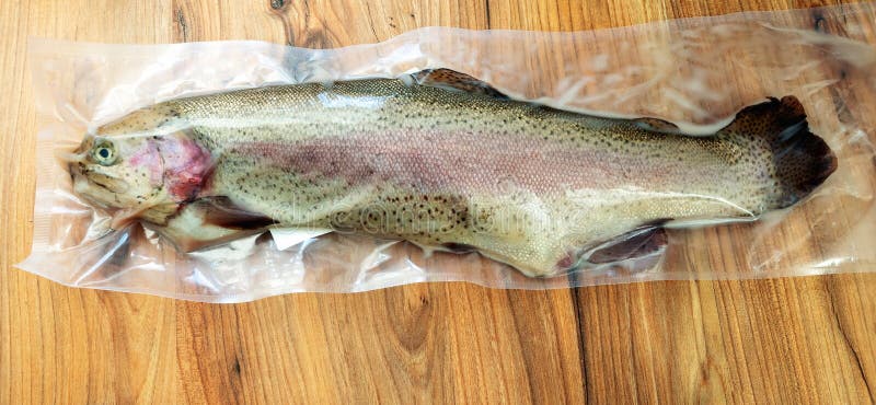 Rainbow Trout in a Clear Plastic Bag Stock Photo - Image of trout, meal ...