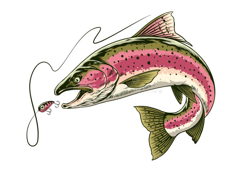 Rainbow Trout Fish Jumping Out Water Stock Vector - Illustration of ...