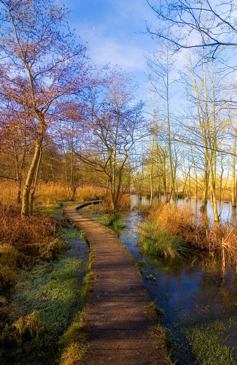 443 Rainbow Boardwalk Stock Photos - Free & Royalty-Free Stock Photos ...