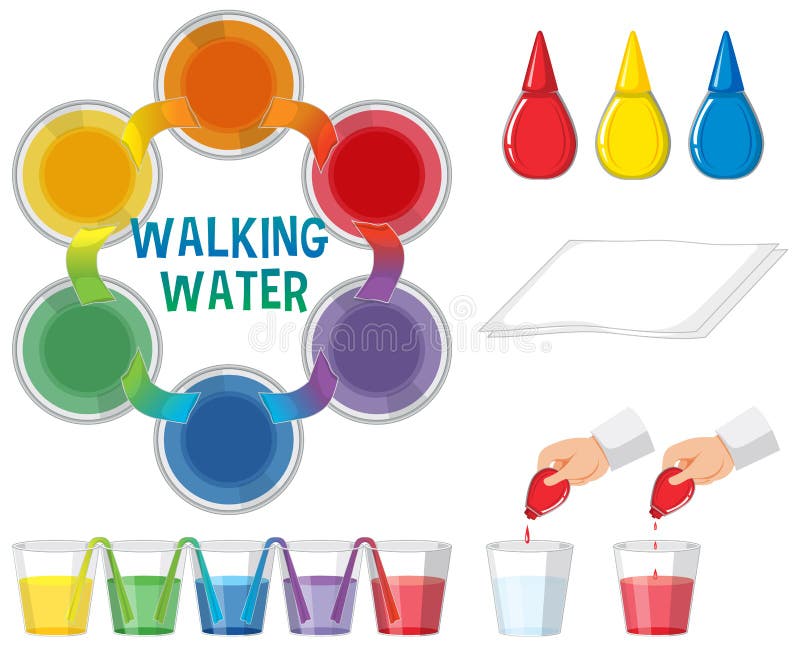 Rainbow Walking Water Science Experiment Stock Vector - Illustration of ...