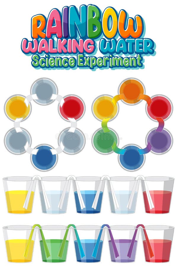 Rainbow Walking Water Science Experiment Stock Vector - Illustration of ...