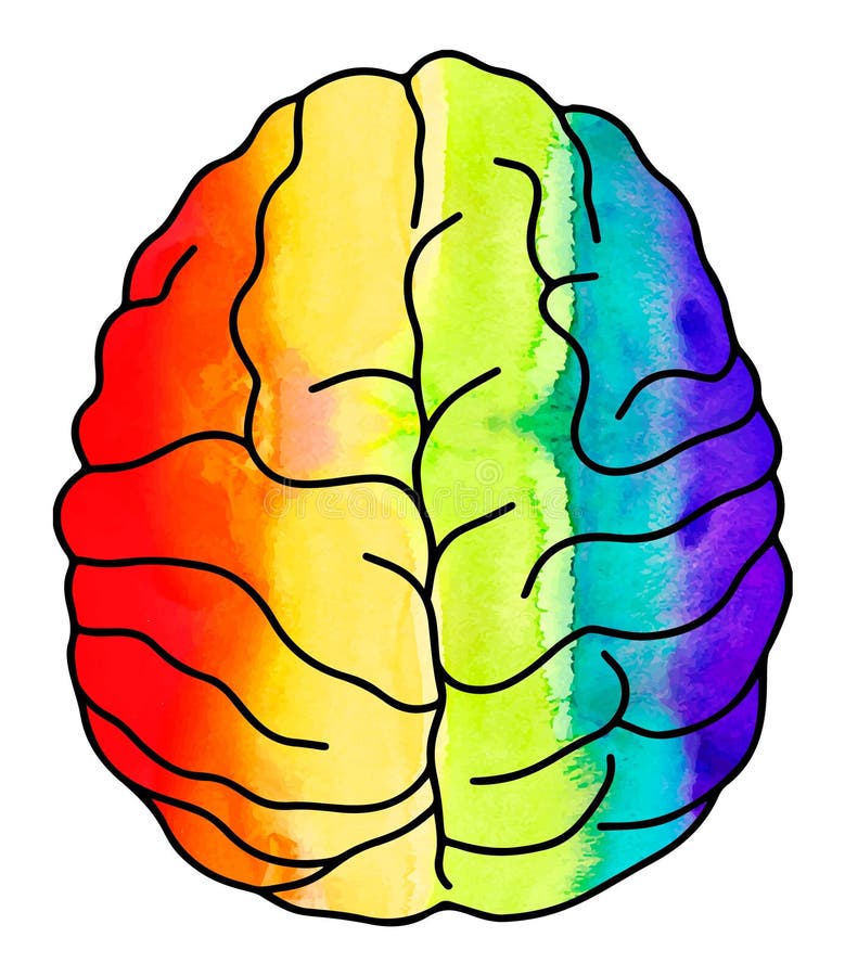 Rainbow Watercolor Brain. Vector Stock Illustration - Illustration of ...