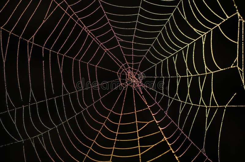 Rainbow web. stock image. Image of patch, button, abstract - 15725711