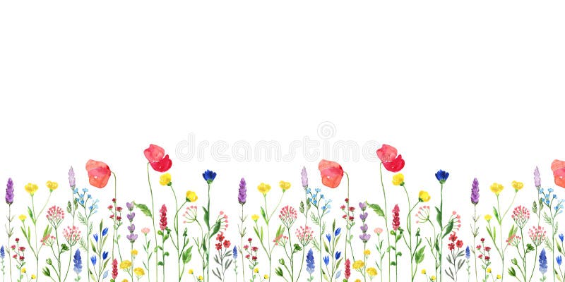Rainbow Wildflowers Border stock photo. Illustration of border - 279515154