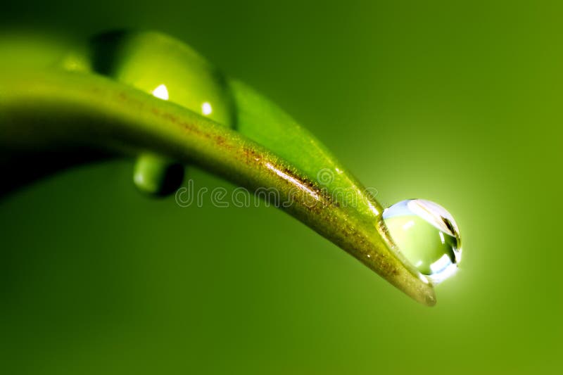 Raindrop stock photo. Image of transparent, detail, fall - 20720346