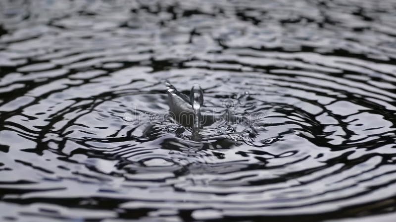 Raindrop Creating Ripples on a Serene Water Surface, Monochrome ...
