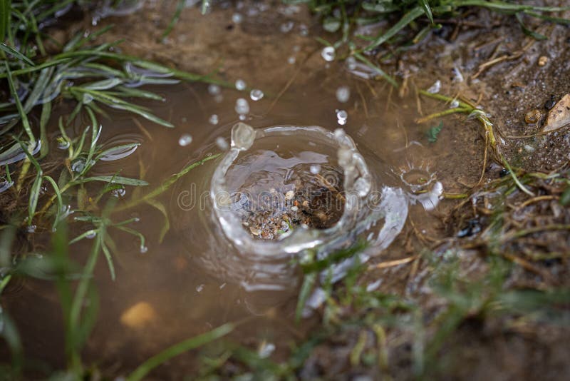 Raindrop Falling into a Small Puddle and Creating a Small Water Dome ...