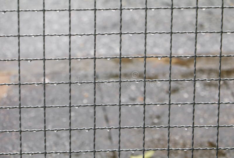Raindrop on Steel Net with Copy Space Stock Image - Image of structure ...