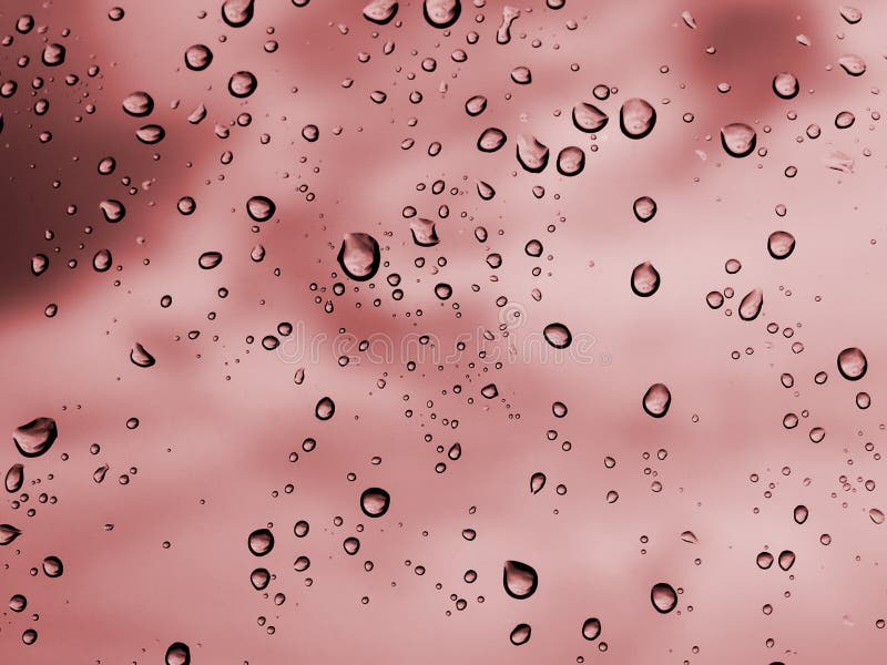 Water Drops on Pretty Pink Background Stock Image - Image of splashes ...