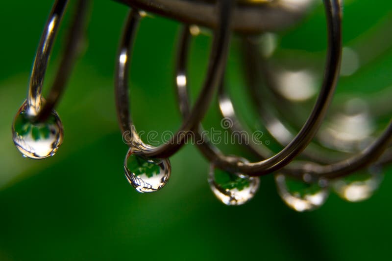 Raindrops Free Stock Photos & Pictures, Raindrops Royalty-Free and ...