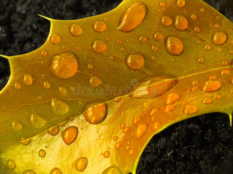 Spring waterfall stock image. Image of foliage, valley - 1009799