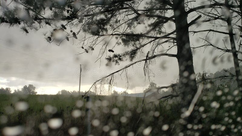 Raindrops chasing the wind stock photo. Image of chasing - 151705884