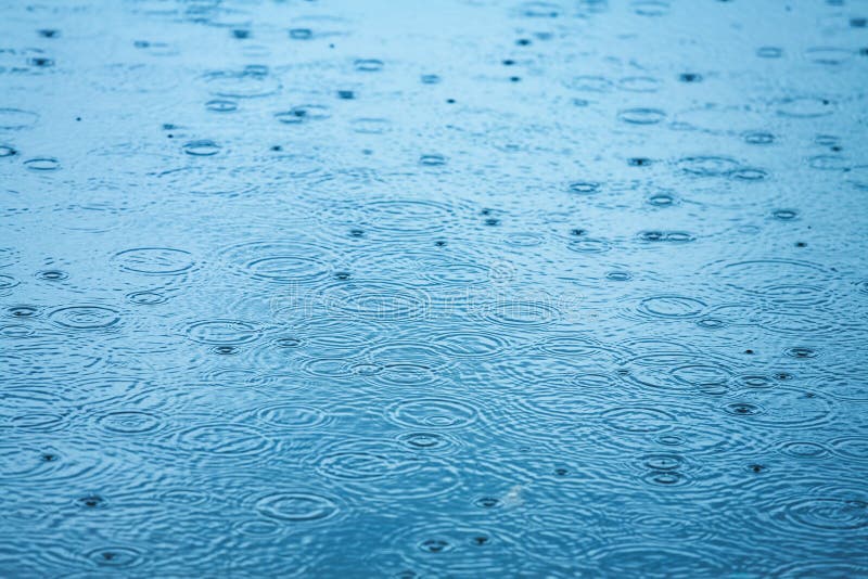 Raindrops Falling on a Calm Water Surface during a Gentle Rain Stock ...