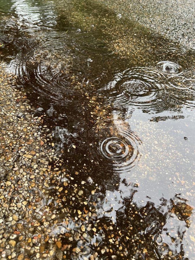 Raindrops Creating Ripples on a Puddle Stock Image - Image of ground ...
