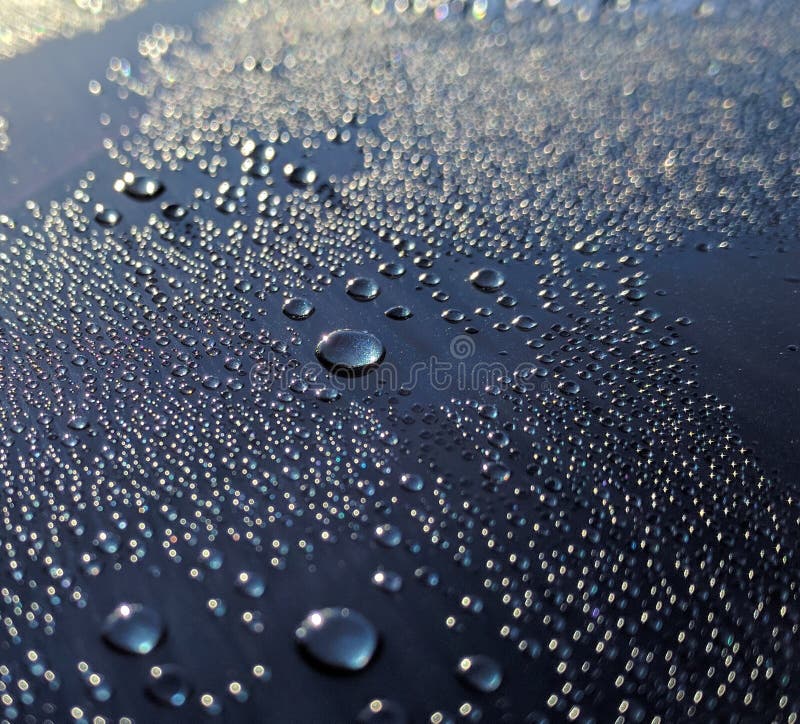 Raindrops stock photo. Image of raindrops, drops, droplets - 83271274