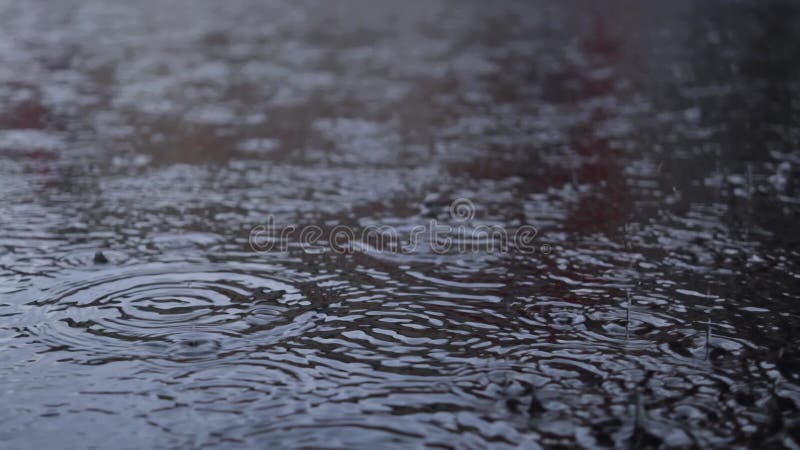 Raindrops Drip into a Puddle. Stock Video - Video of natural, pavement ...