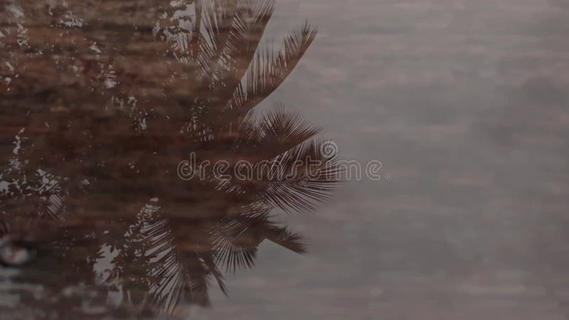 Raindrops Drip into a Puddle, Copy Space. Stock Footage - Video of ...