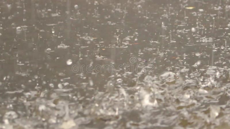 The Raindrops Dripping into the Puddle in Front of the House Stock ...