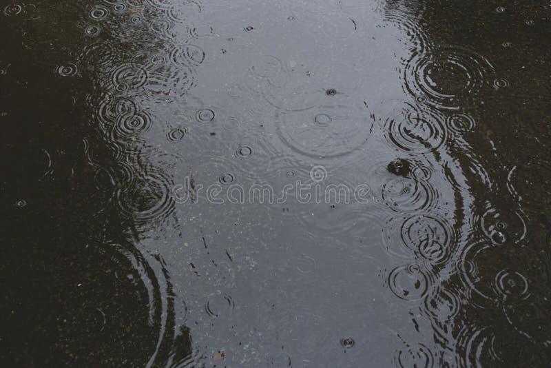 Raindrops Fall into a Puddle. Abstract Water Background Stock Image ...