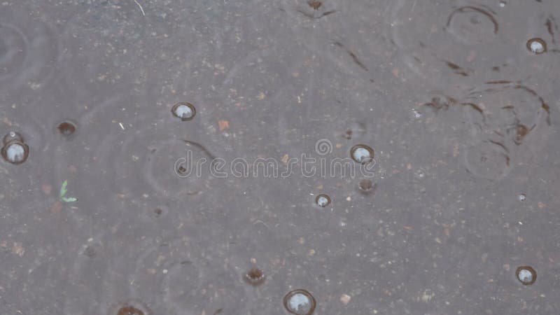 Raindrops Fall into a Puddle Stock Footage - Video of detail, puddle ...