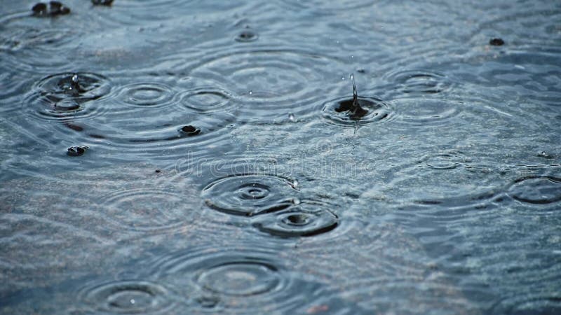 Raindrops Fall into a Puddle on the Paving Stones during the Rain Stock ...