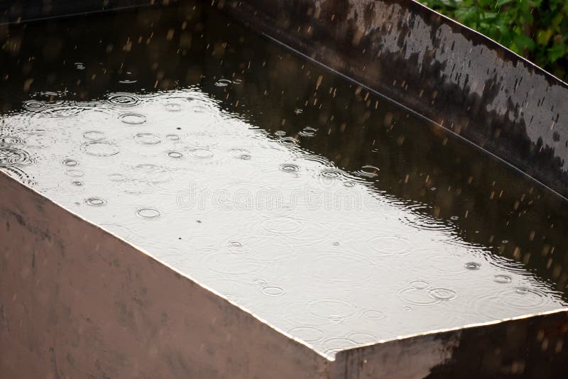 Raindrops Fall on the Surface of the Water in the Pool. Stock Image ...
