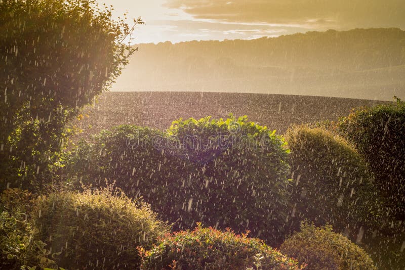 Raindrops Falling on Forest and Field Stock Photo - Image of land ...