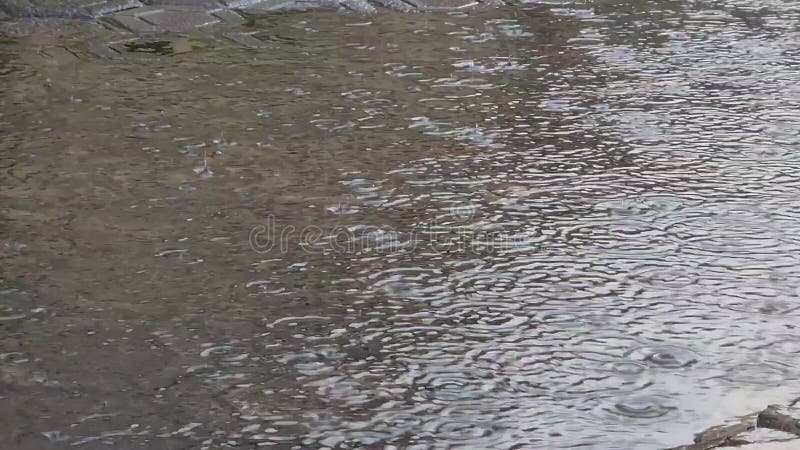 Raindrops Falling on Ground. Rain Splashes Hit Ground, Stock Video ...