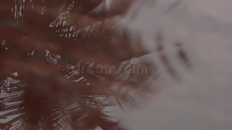 Raindrops Falling and Making Water Rings in Puddles. Stock Video ...