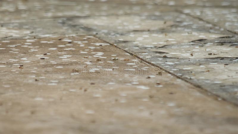 Raindrops Falling Onto the Road, Slowly Soaking and Creating Puddles ...