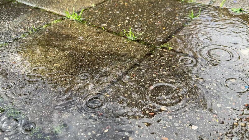 Raindrops Falling on Puddle Over Stone Tiles Stock Video - Video of ...