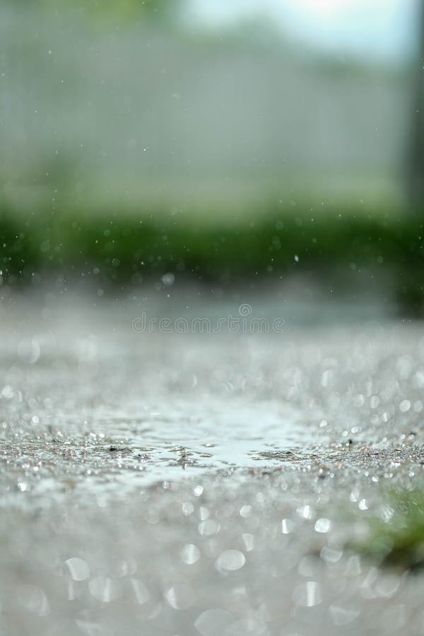 Raindrops Falling into a Puddle on a Pavement with Blurred Green ...