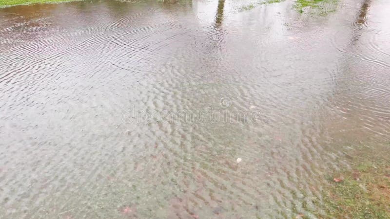 Raindrops Falling into a Puddle Stock Footage - Video of reflect ...