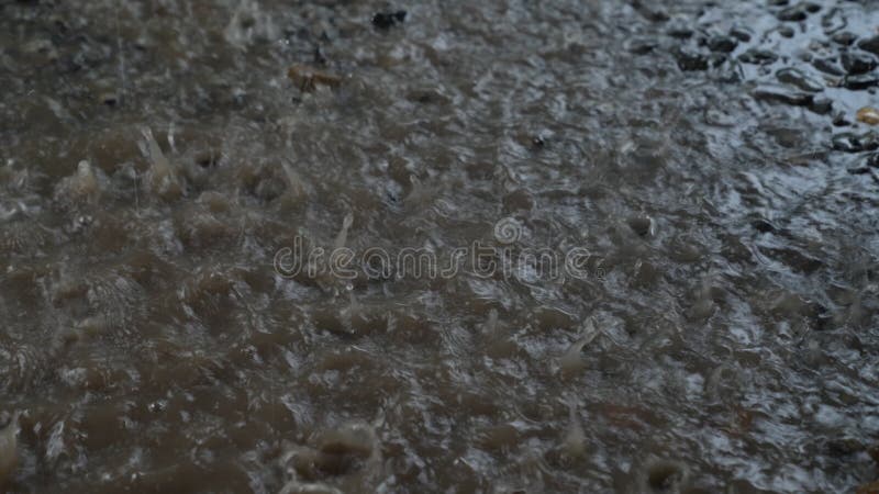 Raindrops Falling on the Rocks and Waterlogged Puddles Heavy Rain at ...
