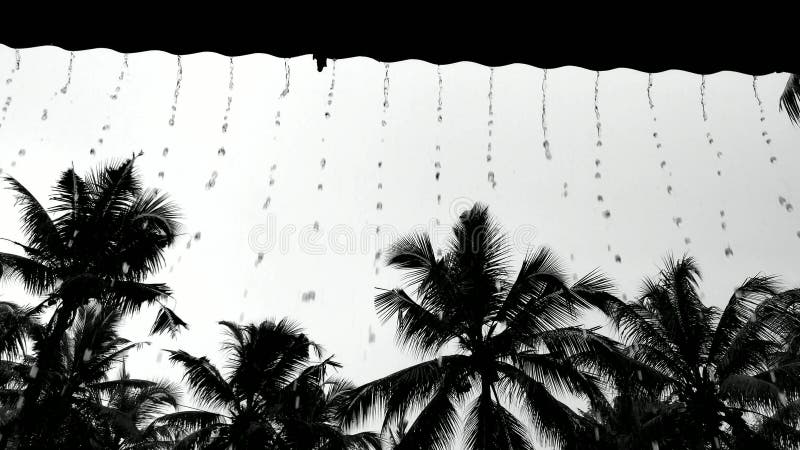 Raindrops Falling from Terrace with Silhouette of Coconut Trees on the ...