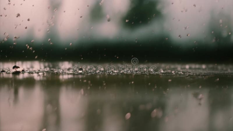 Raindrops Falling on a Wet Surface Stock Footage - Video of shower ...
