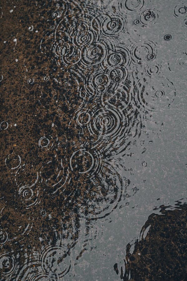 Raindrops Forming Ripples on a Puddle Surface during Rainfall Stock ...