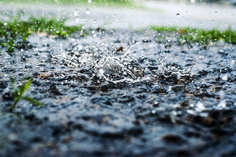 Raindrops on the Ground at Home Stock Photo - Image of rainy, fall ...