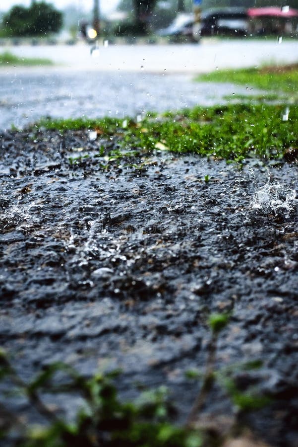 Raindrops on the Ground at Home Stock Photo - Image of rainy, fall ...